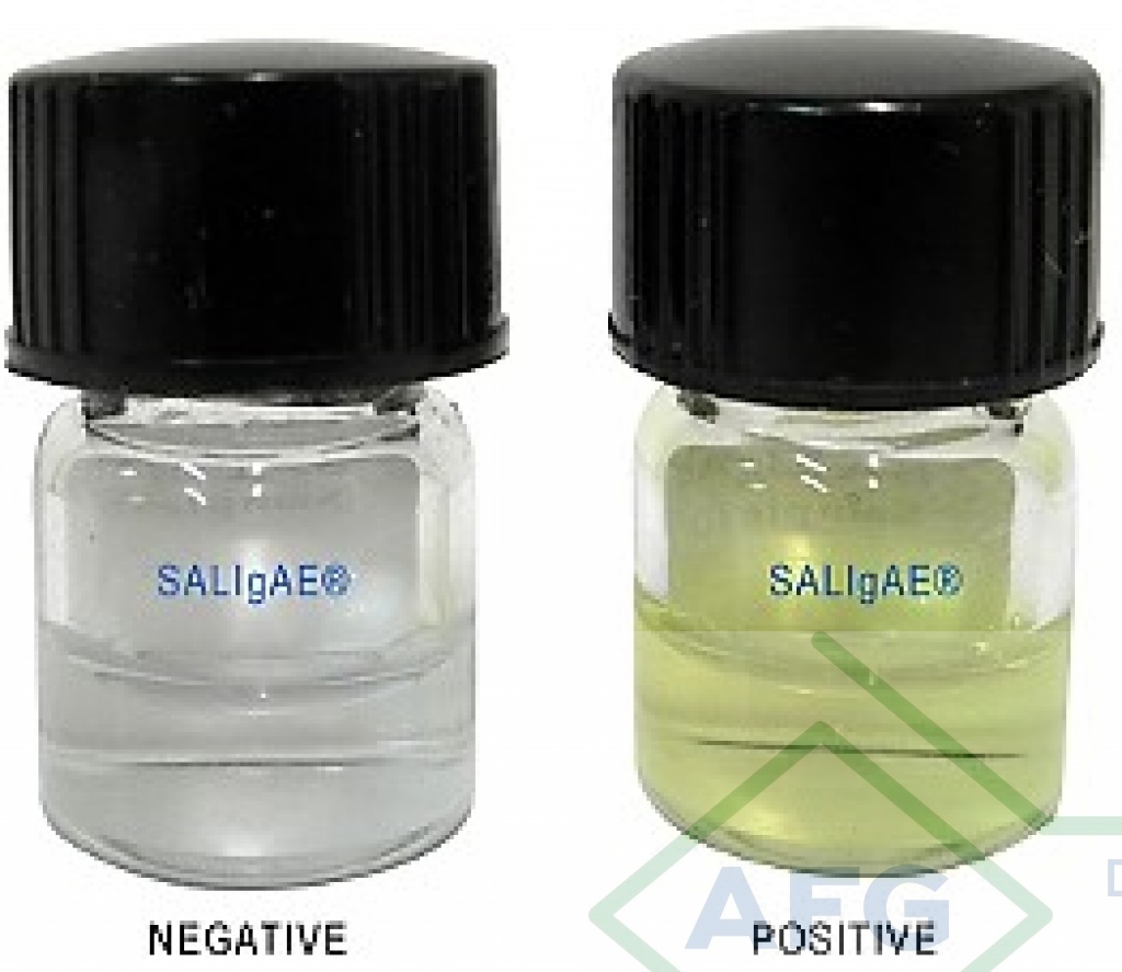 AFG - Diagnostics de México